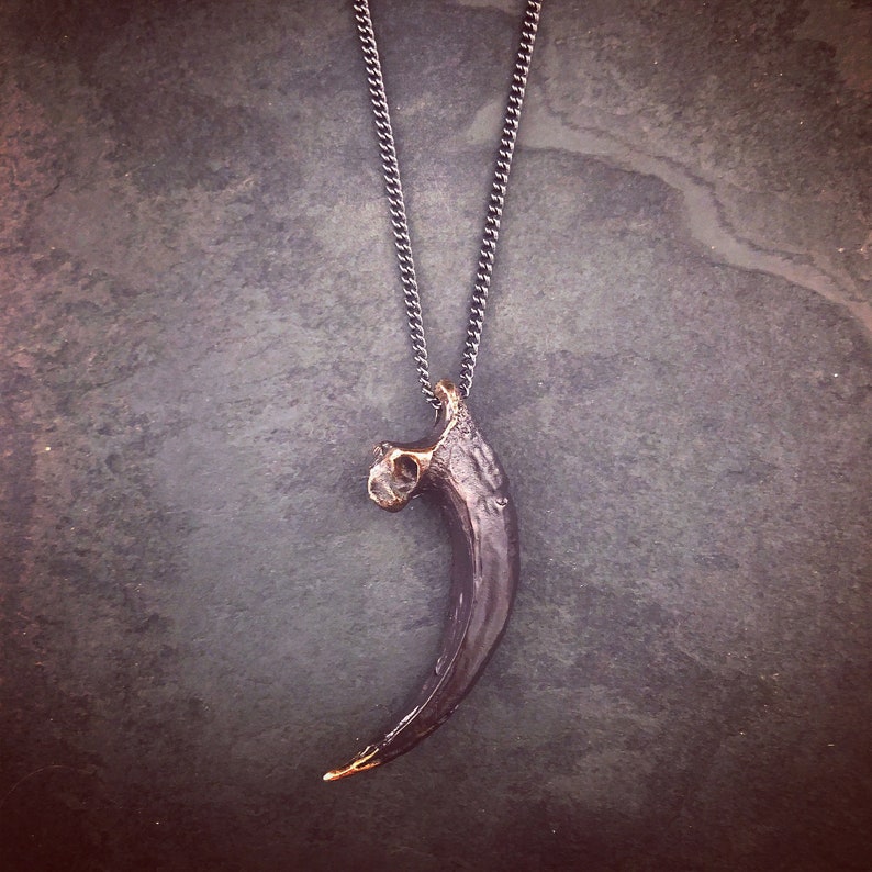 Harpy Eagle Talon - Bronze Eagle Talon Pendant - Raptor Talon Pendant ...