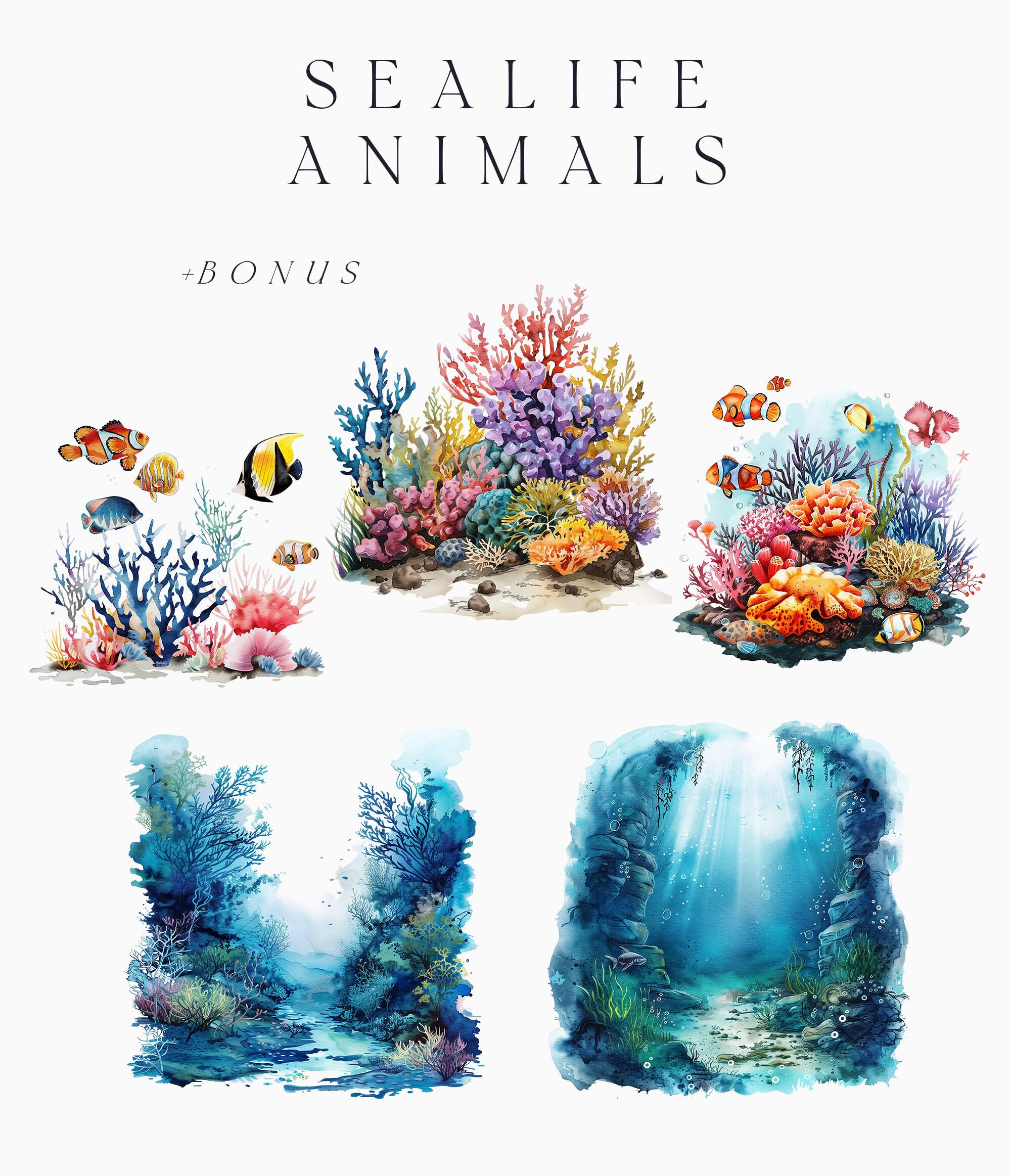Sealife Animals Clipart - Watercolor Underwater Ocean Set - Whale Shark ...