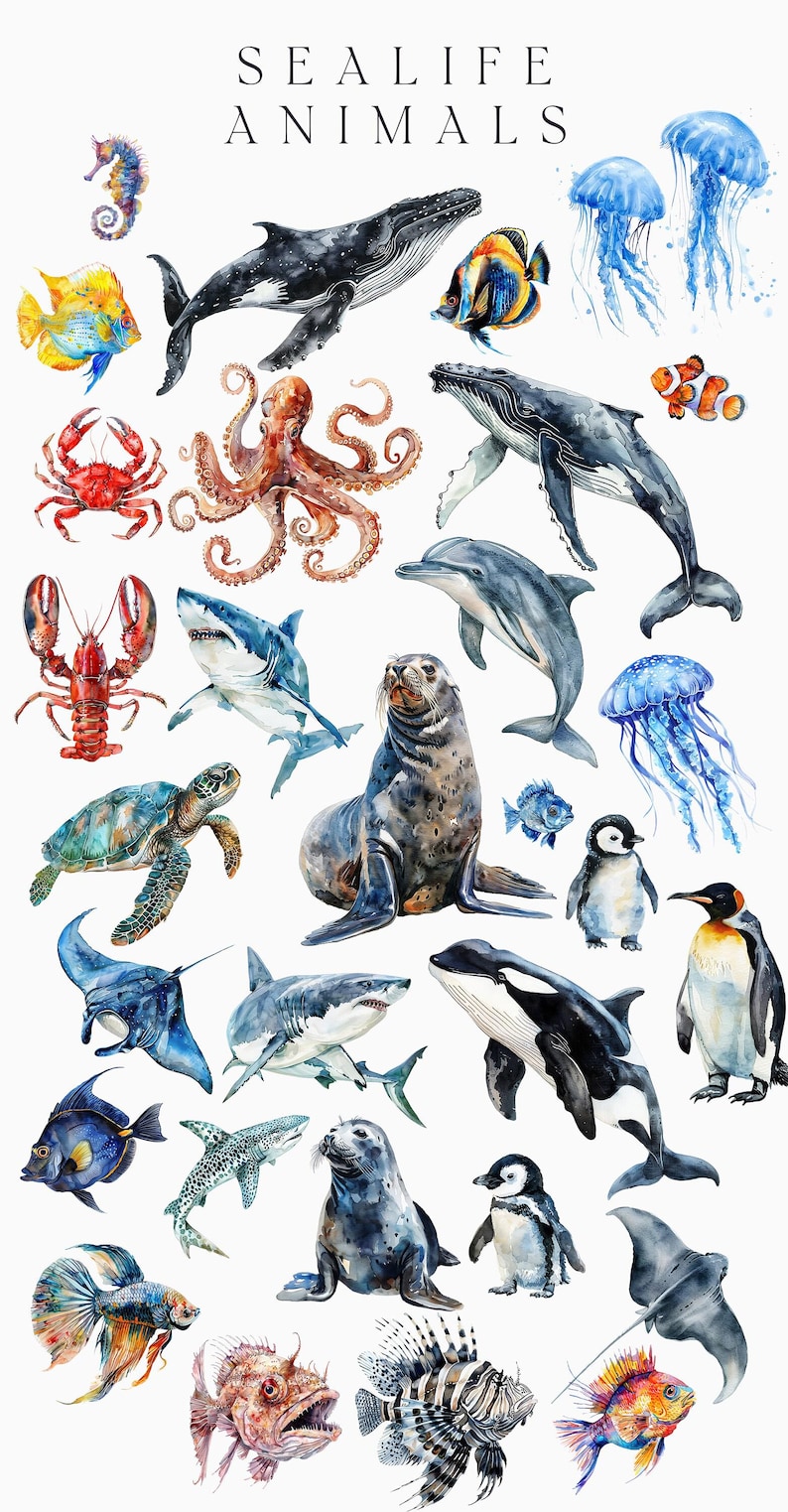 Sealife Animals Clipart - Watercolor Underwater Ocean Set - Whale Shark ...
