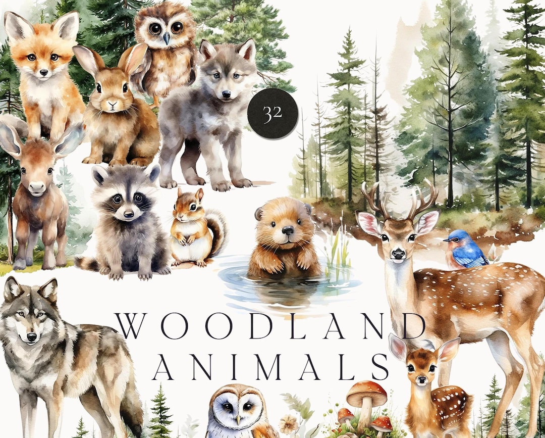 Woodland Animals Clipart - Watercolor Forest Animals PNG - Wild Animal ...
