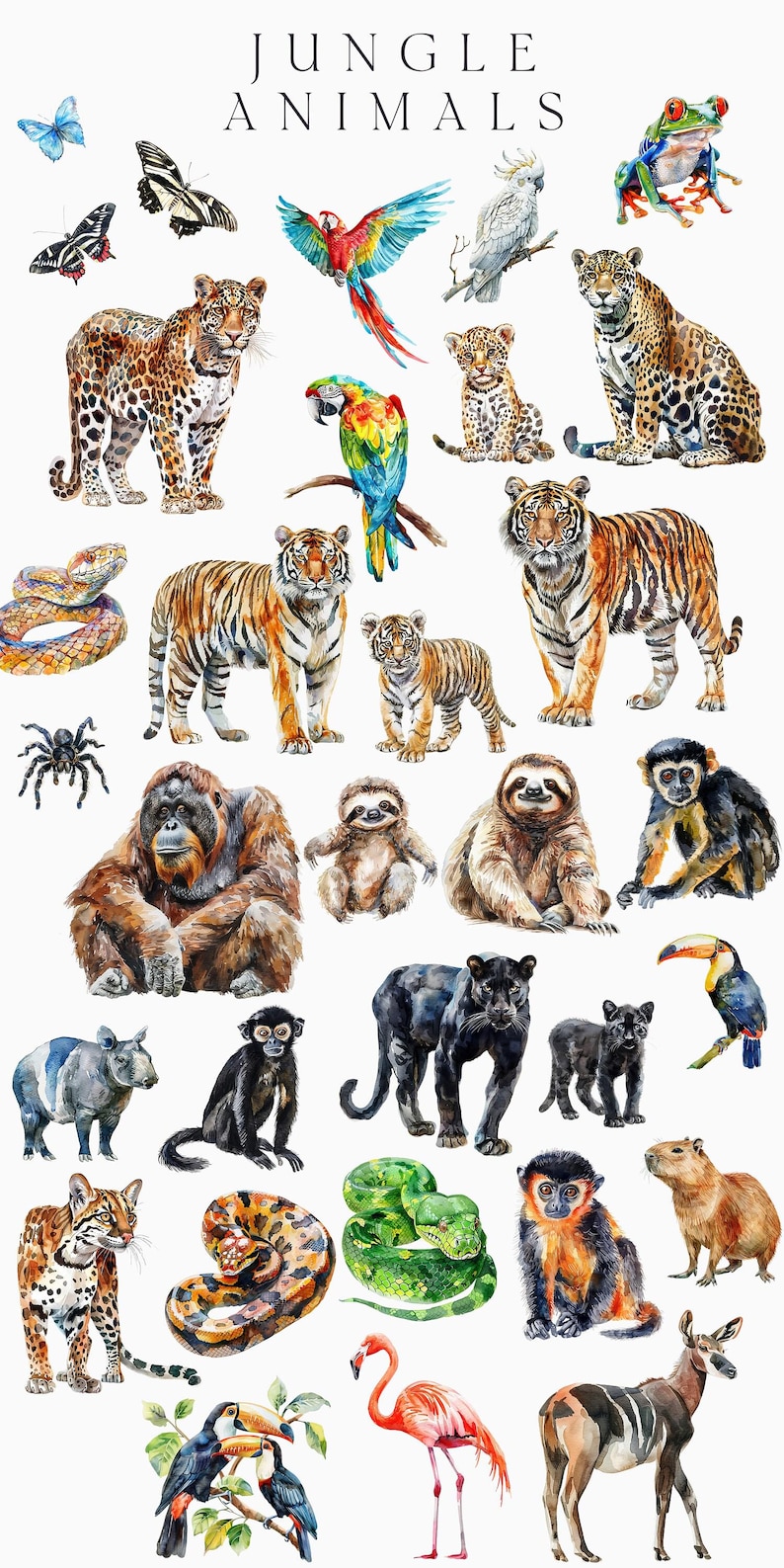 Jungle Animals Clipart - Watercolor Tropical Animal Set - Wild ...