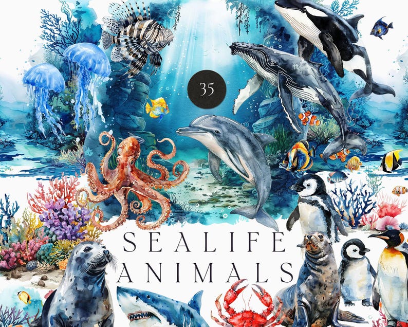Sealife Animals Clipart - Watercolor Underwater Ocean Set - Whale Shark ...