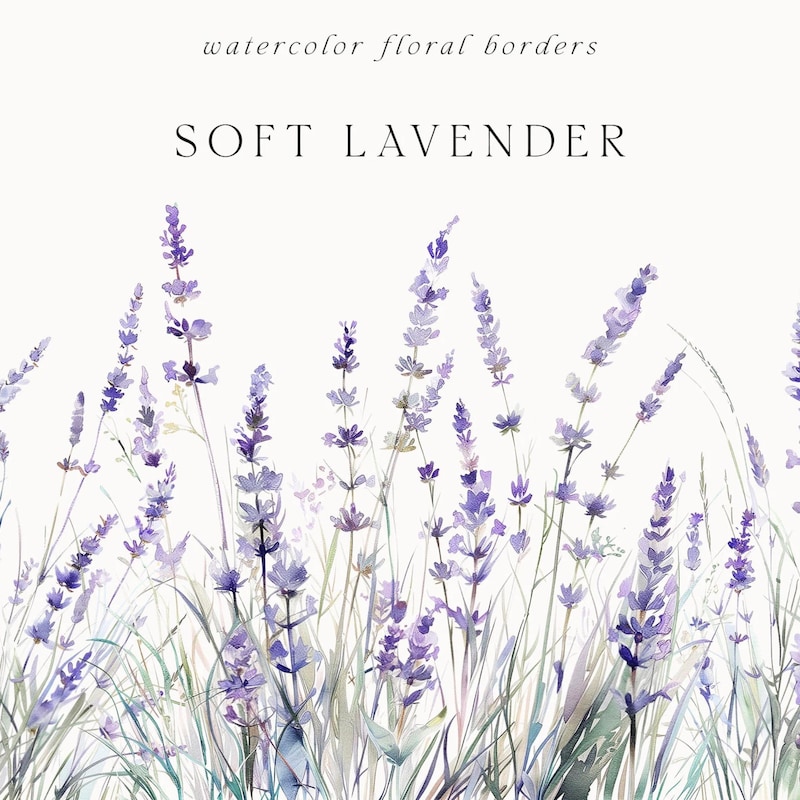 Lavender Border Designs - Etsy UK
