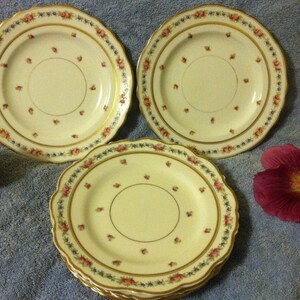 Rose Floral Dinner Plates Antique Cauldon Fine China Pattern | Etsy