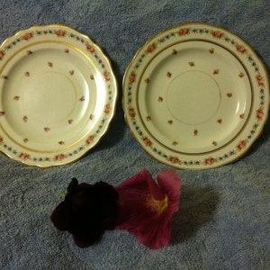 Rose Floral Dinner Plates Antique Cauldon Fine China Pattern | Etsy