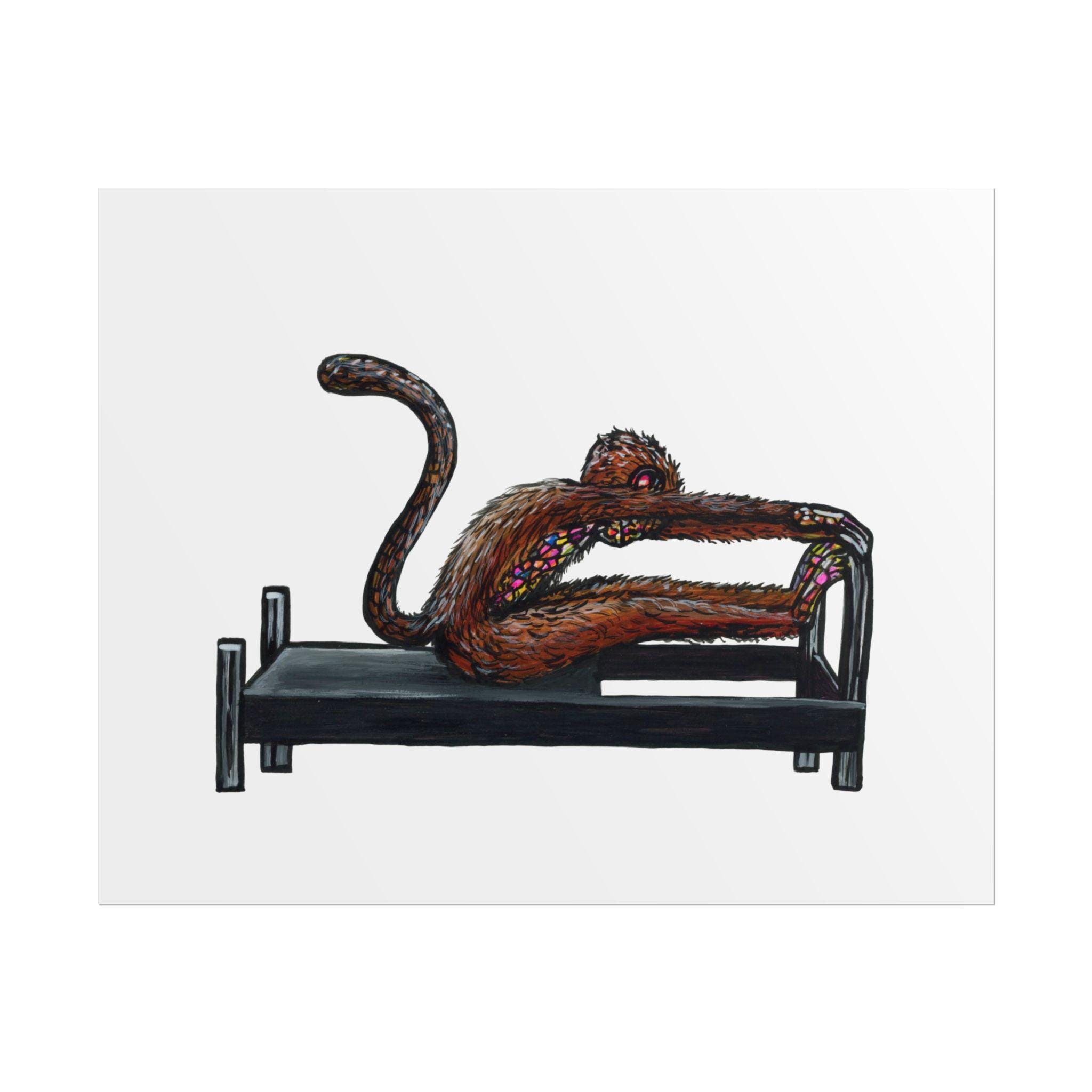 Studio Poster Pilates Reformer MONKEY - Etsy