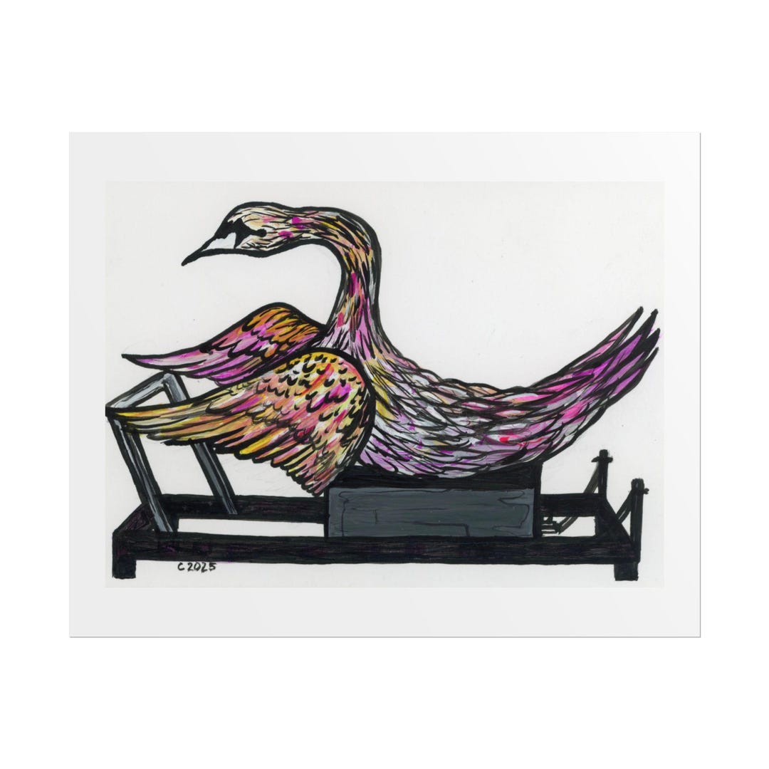 Pilates Reformer SWAN Poster - Etsy