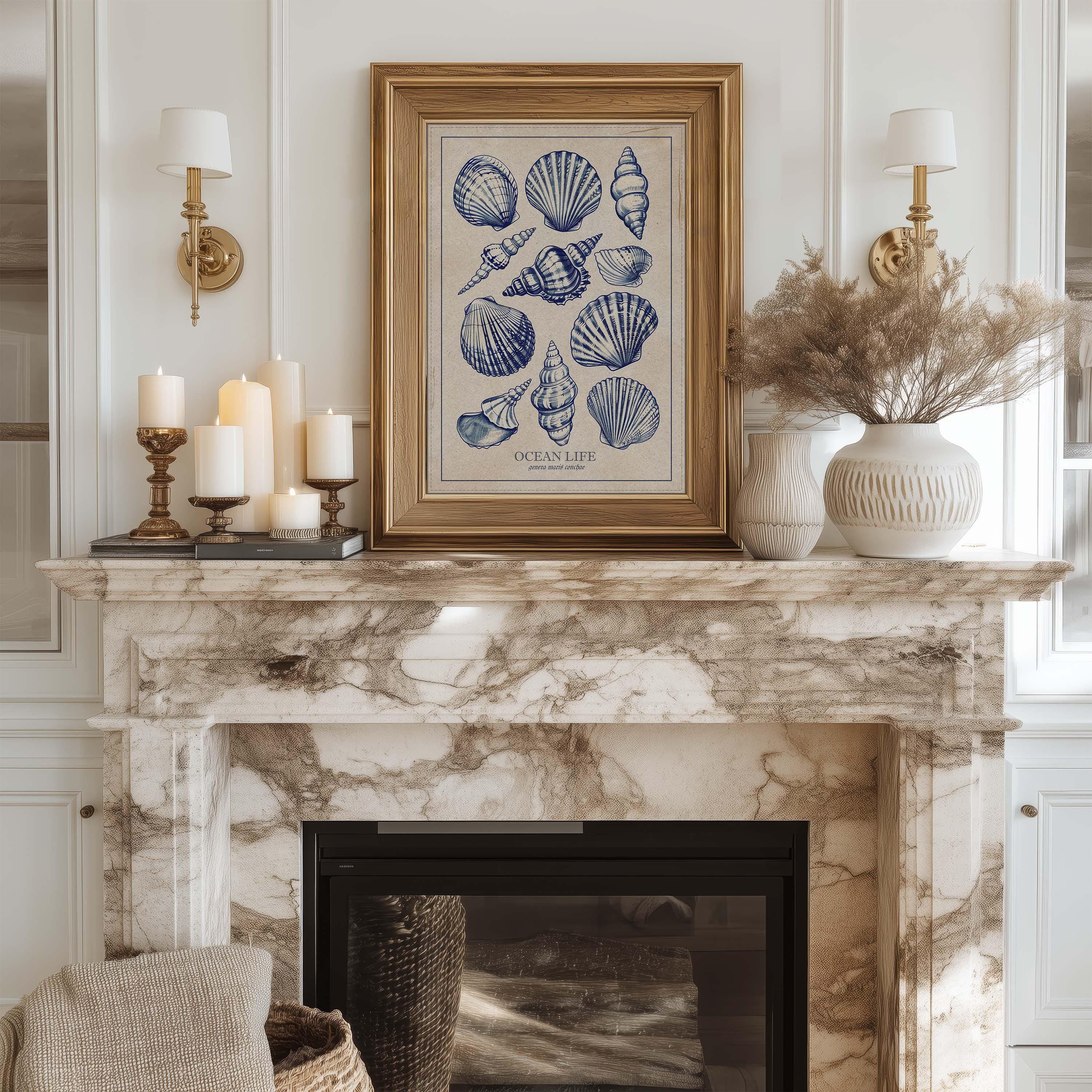 Vintage Modern Seashell Wall Art Print – Ocean Coastal Shell Poster ...