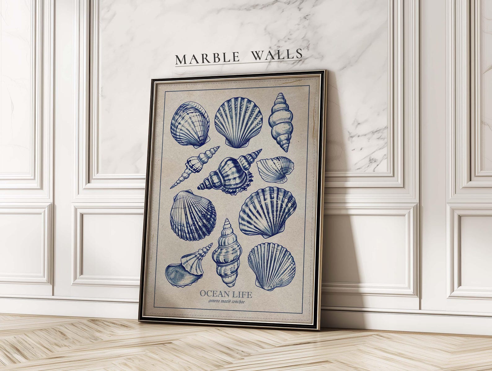 Vintage Modern Seashell Wall Art Print – Ocean Coastal Shell Poster ...