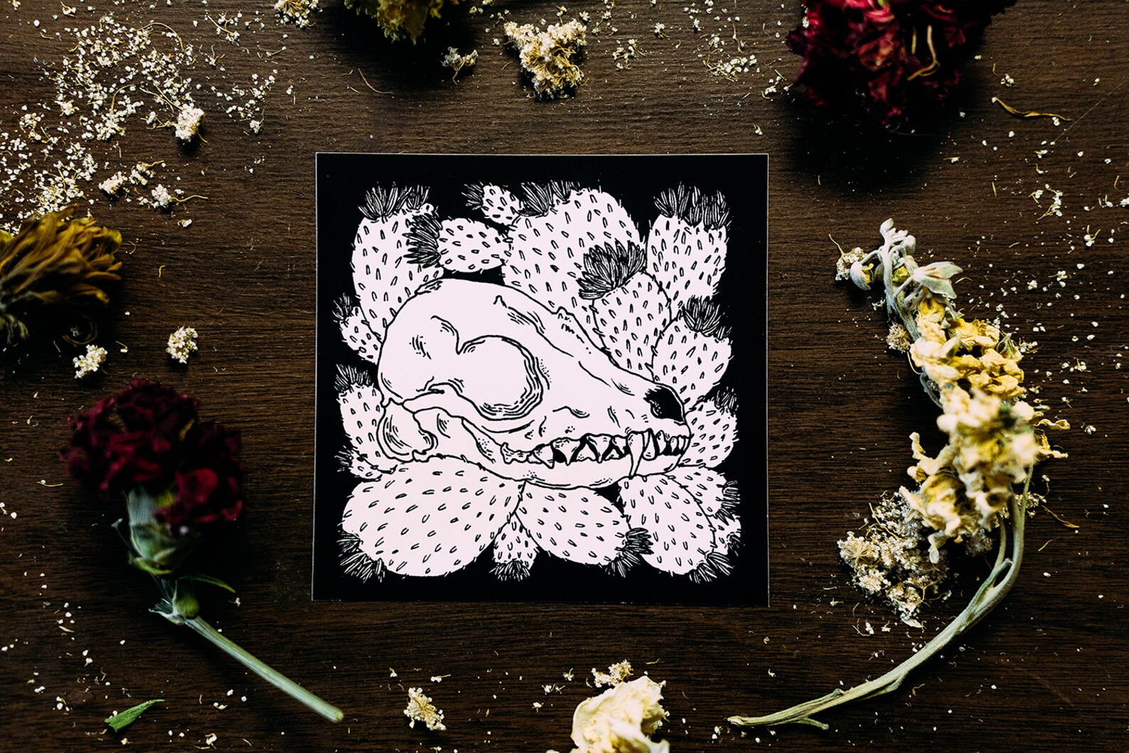 Black and White Skull and Botanical Vinyl Punk Sticker Six Pack - Etsy