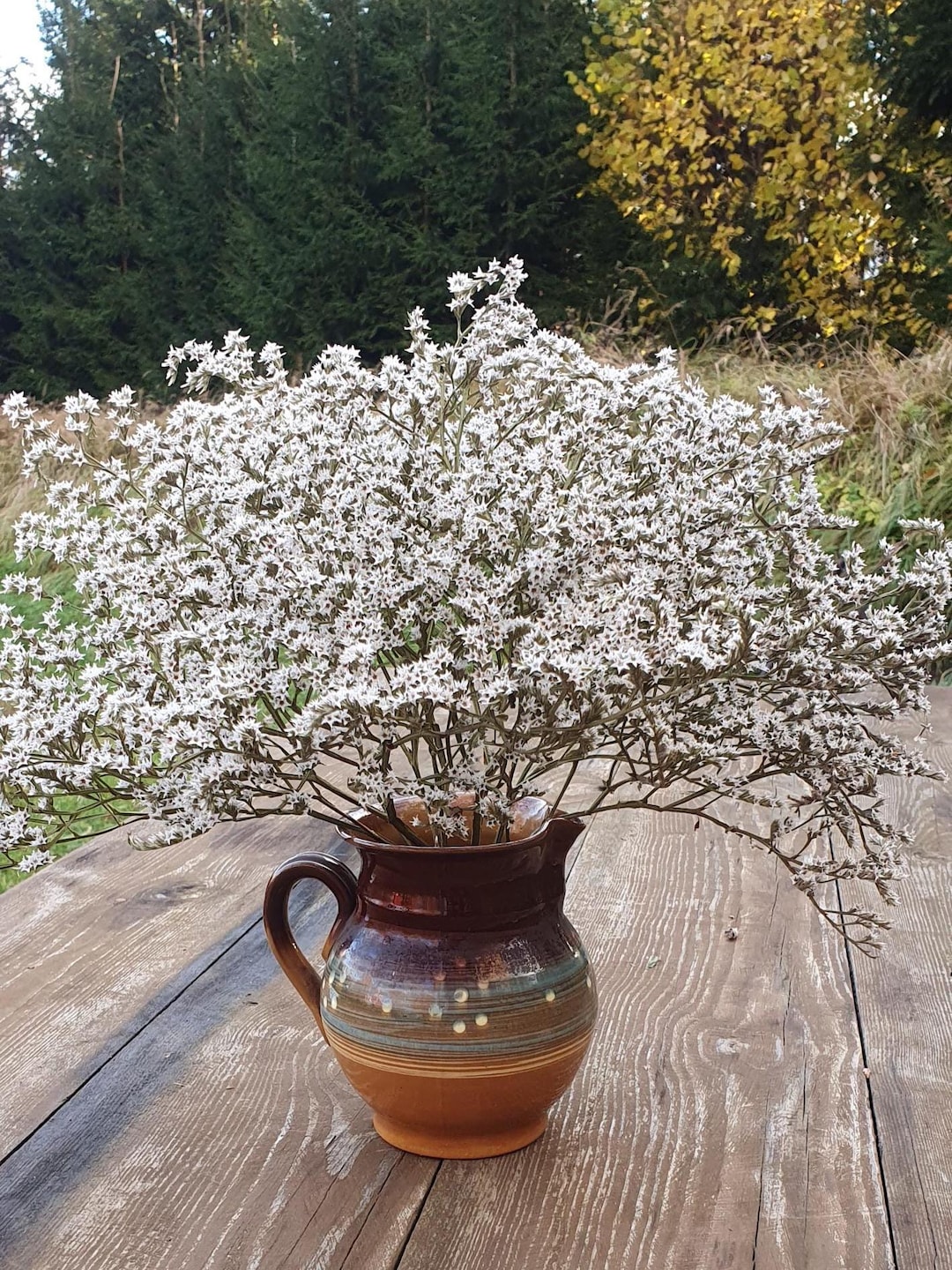 Dried German Statice Flower Bunch, DIY Wedding Bouquets and Decors - Etsy