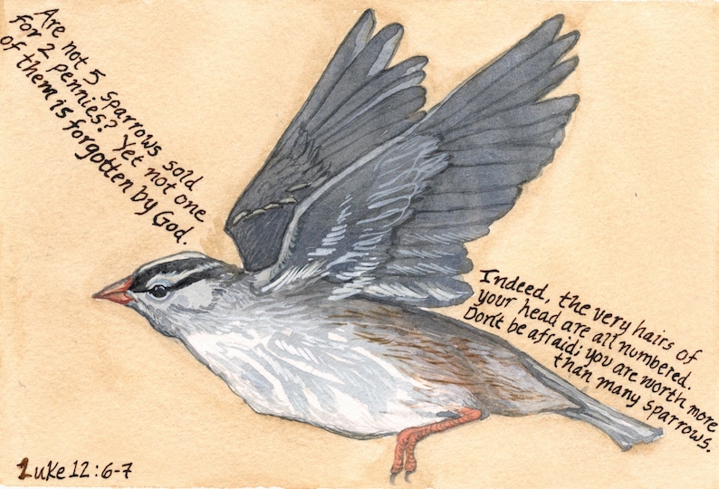 Are Not Five Sparrows Sold for Two Pennies Bible Verse - Etsy Australia