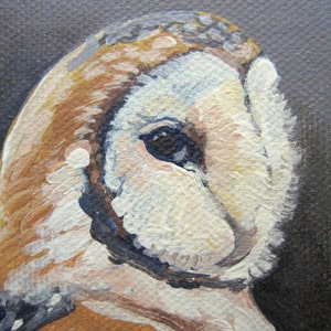 Barn Owl Portrait- Original Miniature Painting - Woodland Wall Decor - Etsy
