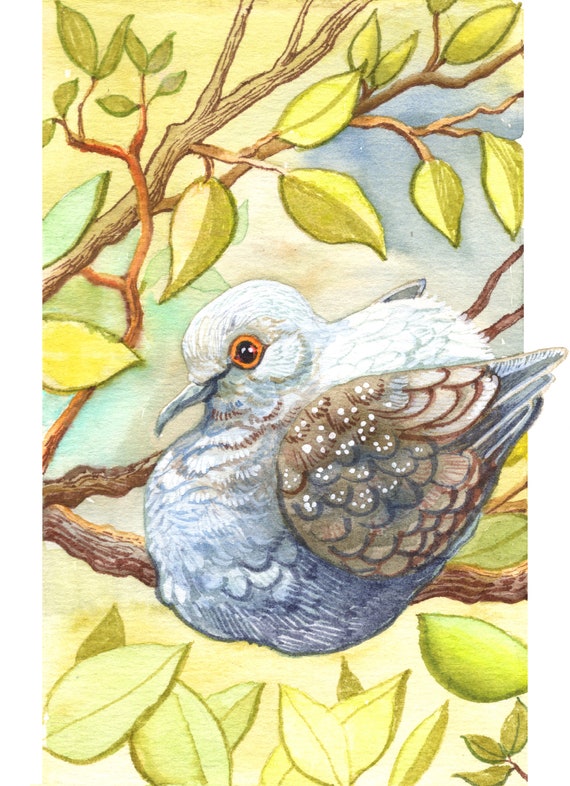 Diamond Dove Watercolor Print Dove Painting Bird Painting | Etsy
