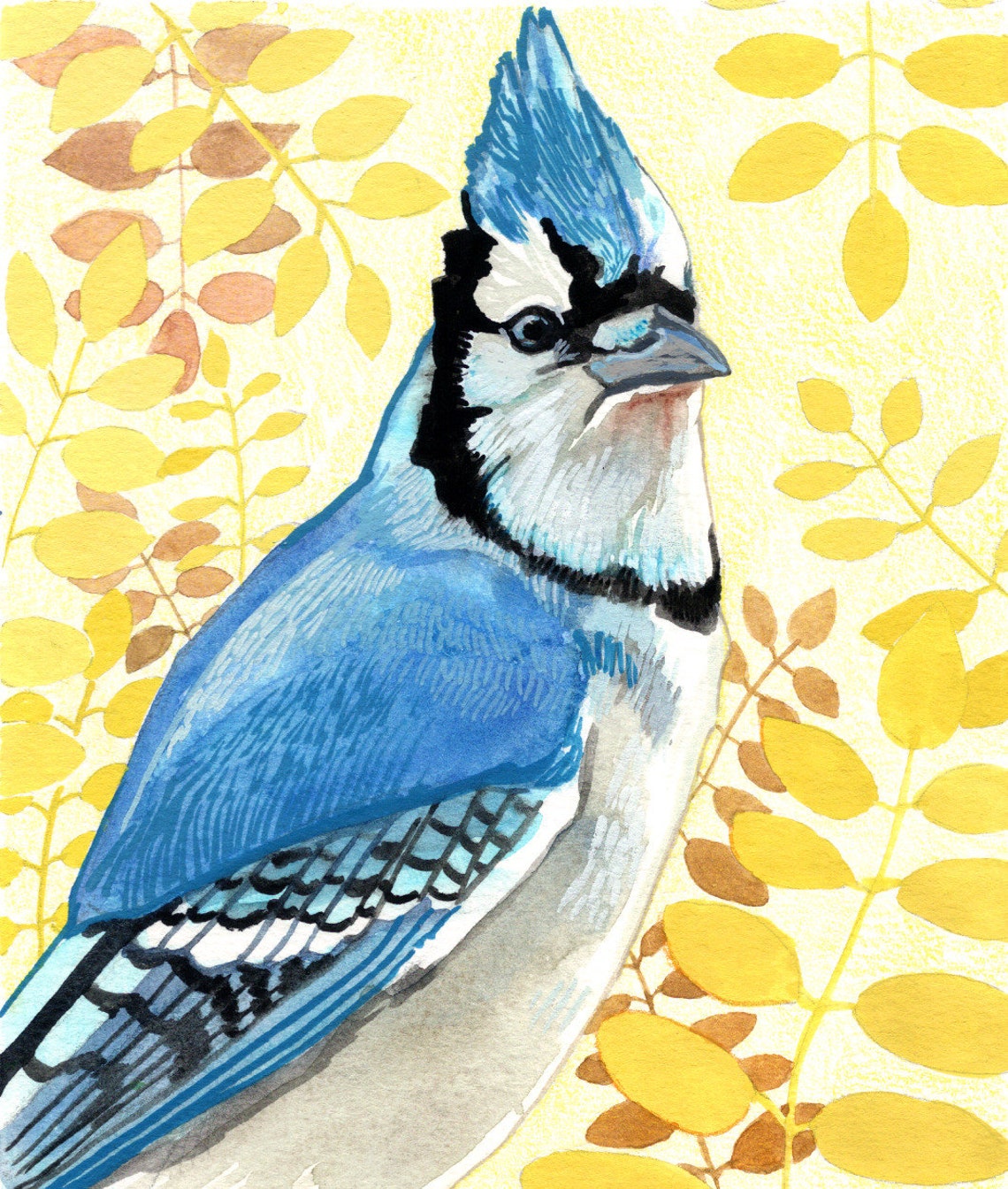 Bluejay Print Bluejay Art Blue Jay Print Blue Jay Gift | Etsy