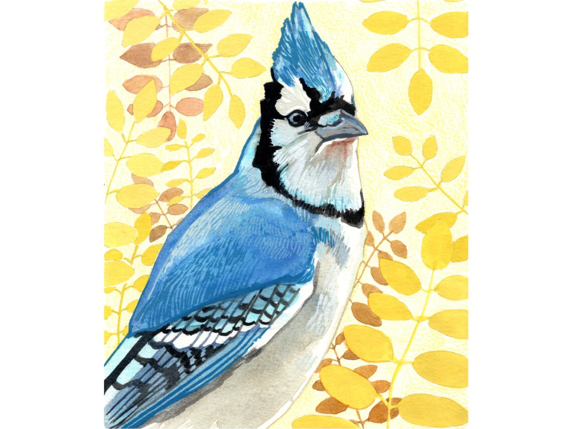 Bluejay Print Bluejay Art Blue Jay Print Blue Jay Gift | Etsy