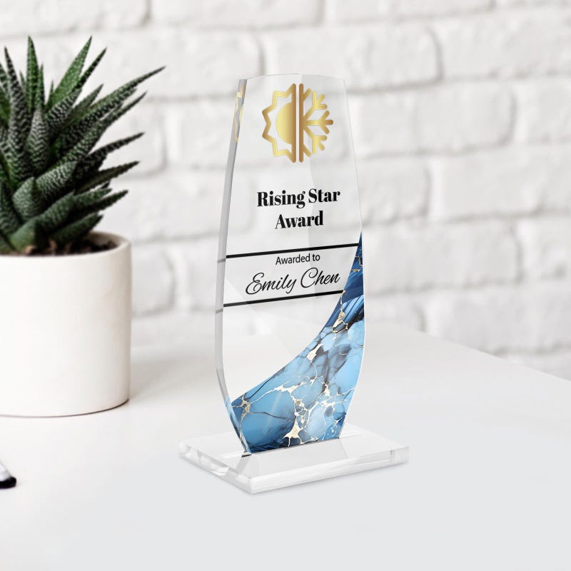 Custom Awards Cheap - Etsy