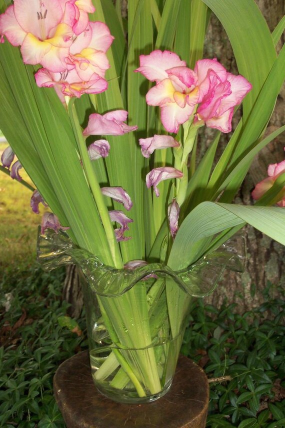 Art Glass Vase Daffodil Clear Midcentury Handblown Nouveau | Etsy