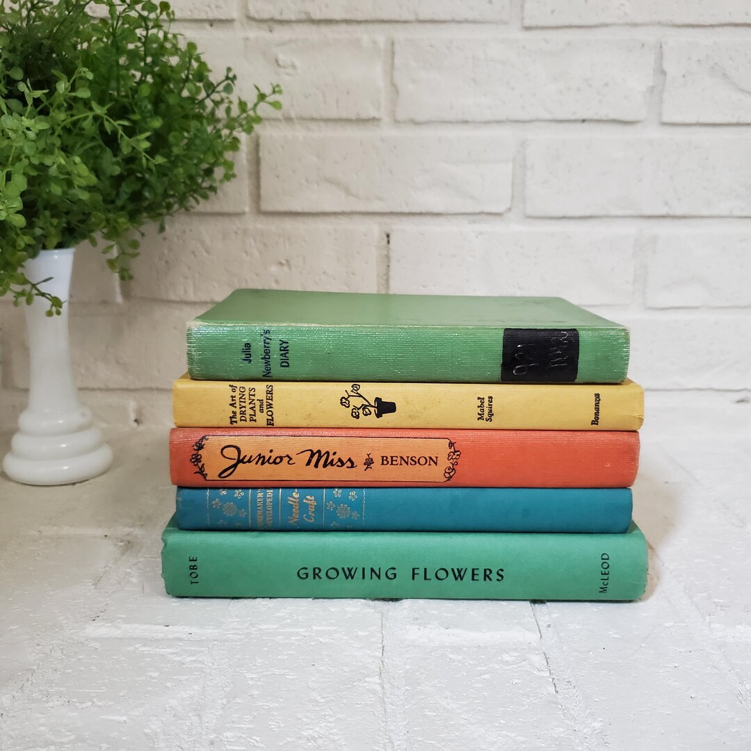 Vintage Book Stack Hardback Book Bundle Antique Book Stack Shelf ...