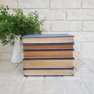 Vintage Book Stack Hardback Book Bundle Antique Book Stack Shelf ...