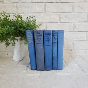 Vintage Book Stack Hardback Book Bundle Antique Book Stack Shelf Styling Decor Blue Book Stack ...