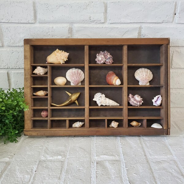 Vintage Display Box - Etsy