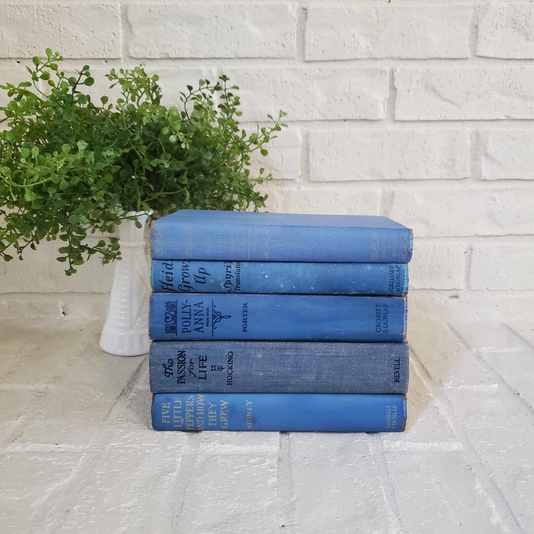 Vintage Book Stack Hardback Book Bundle Antique Book Stack Shelf Styling Decor Blue Book Stack ...
