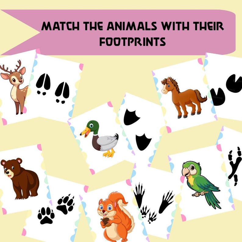 Animal Footprint Matching Cards | Printable Activity for Kids ...