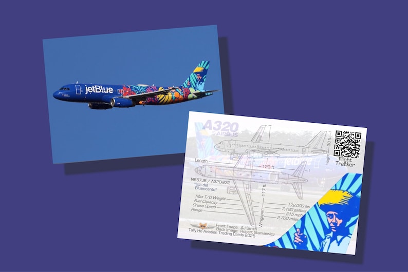 Jetblue Airways Airbus A320 Set of 25 Aviation Trading Cards - 2.5"x 3. ...