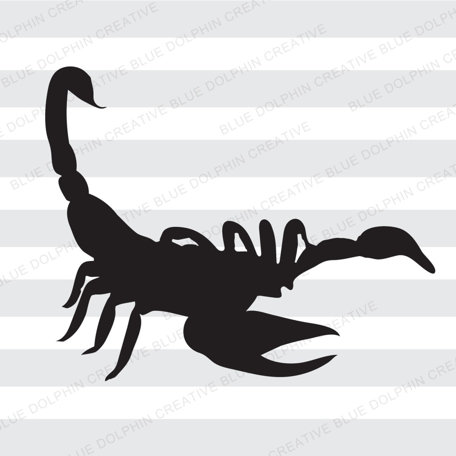 DXF de escorpión SVG png pdf / insectos / Cricut corte de | Etsy