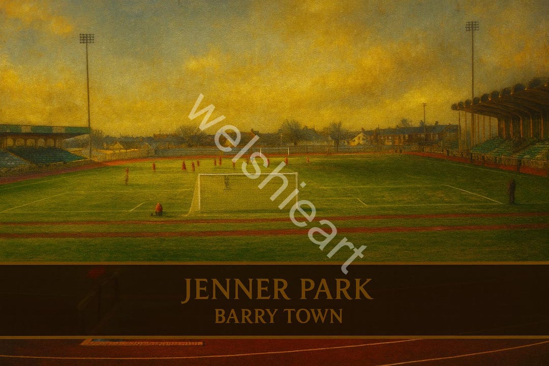 Jenner Park - Barry Town - Etsy