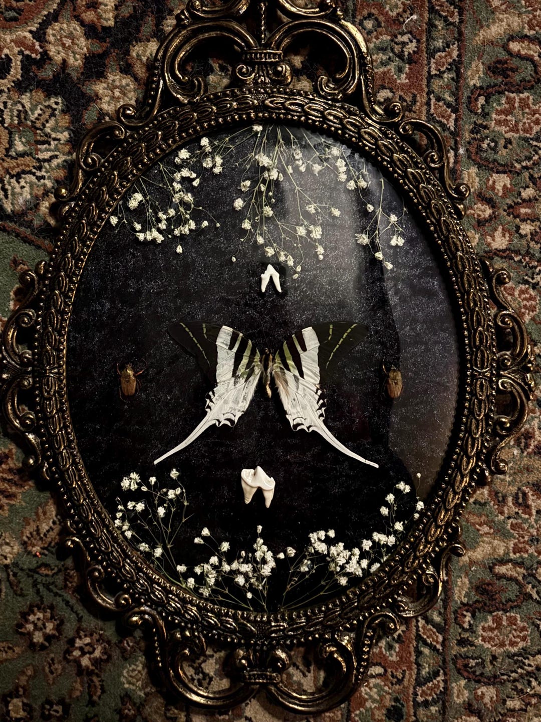 Butterfly, Beetles, and Bones | Insect Art | Dried Flowers | Bone Art ...