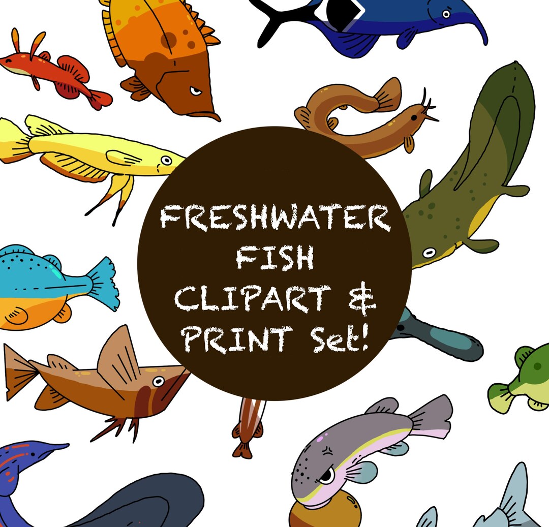 Hand Drawn Freshwater Fish Clipart, Coloring Page and Poster Print Set ...