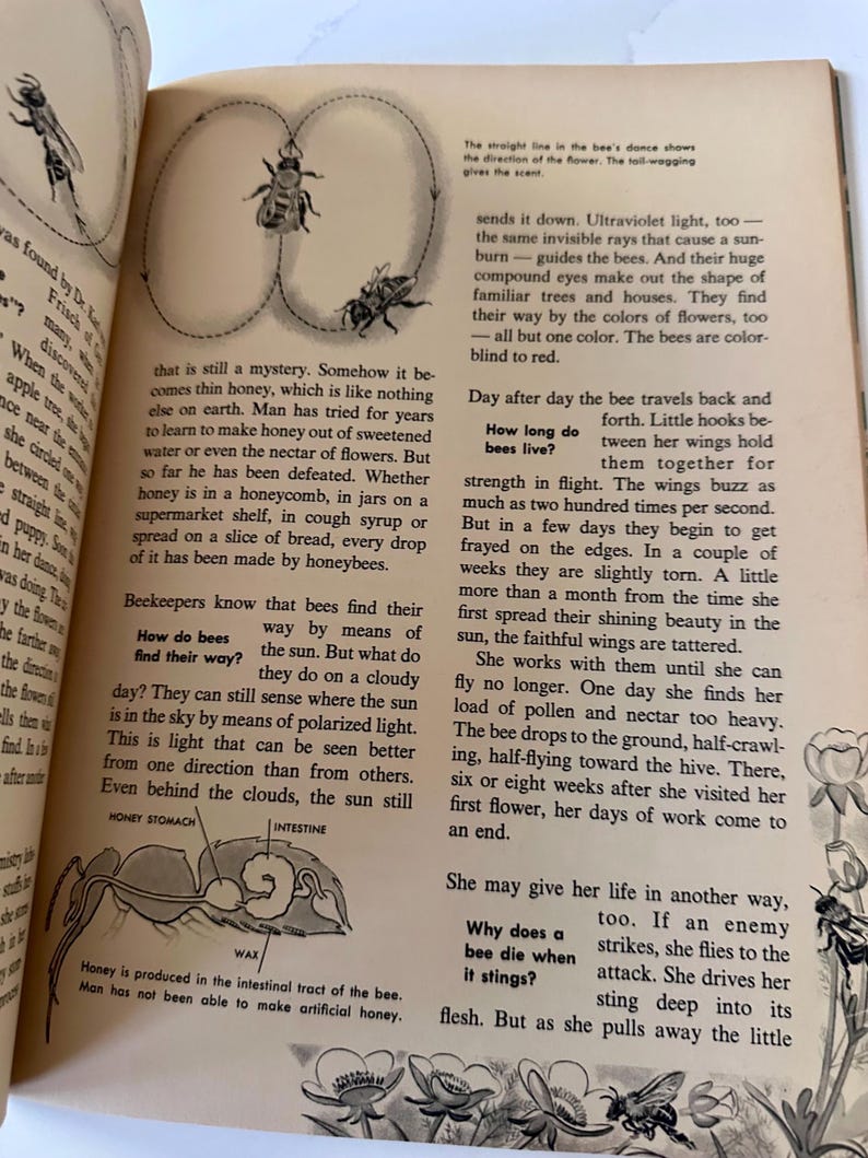 Vintage the How and Why Wonder Book of Deserts, Mushrooms, Ants and ...