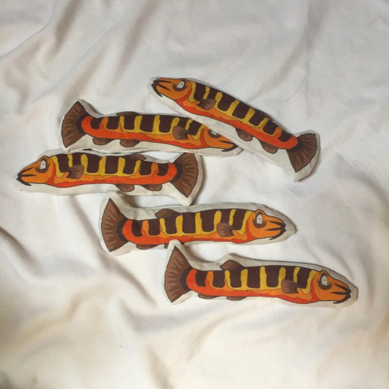 Fidgety Khuli Loach Fish Weighted Fidget Toy, Fishy Beanbag Original ...