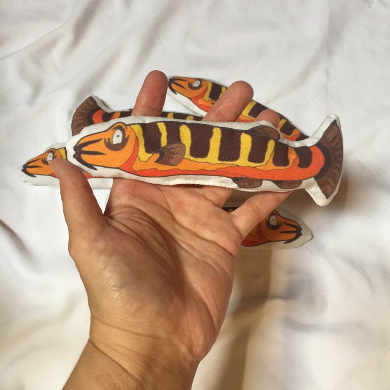 Fidgety Khuli Loach Fish Weighted Fidget Toy, Fishy Beanbag Original ...