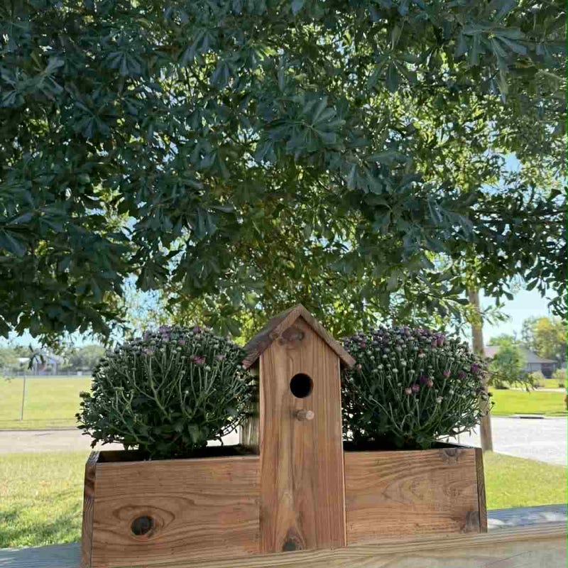 Birdhouse Planter - Etsy Canada