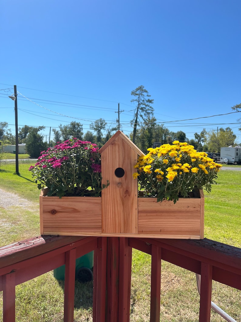 Cedar Birdhouse Planter Box - Etsy
