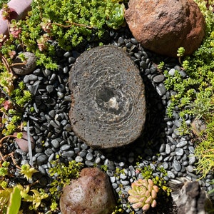 Rock Water Fountain Bird Bath Fountain Rock Garden - Etsy