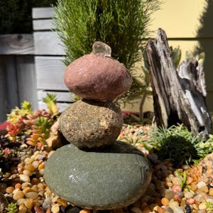 WaterGardenShop - Etsy