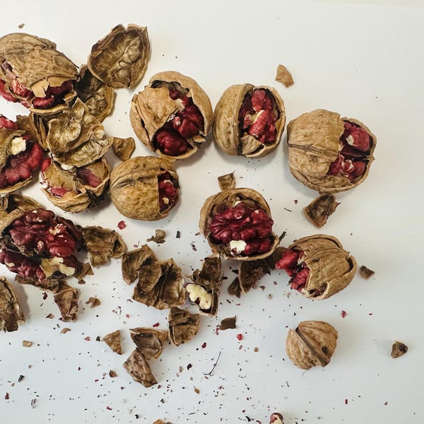 Wenwan Walnut - Etsy