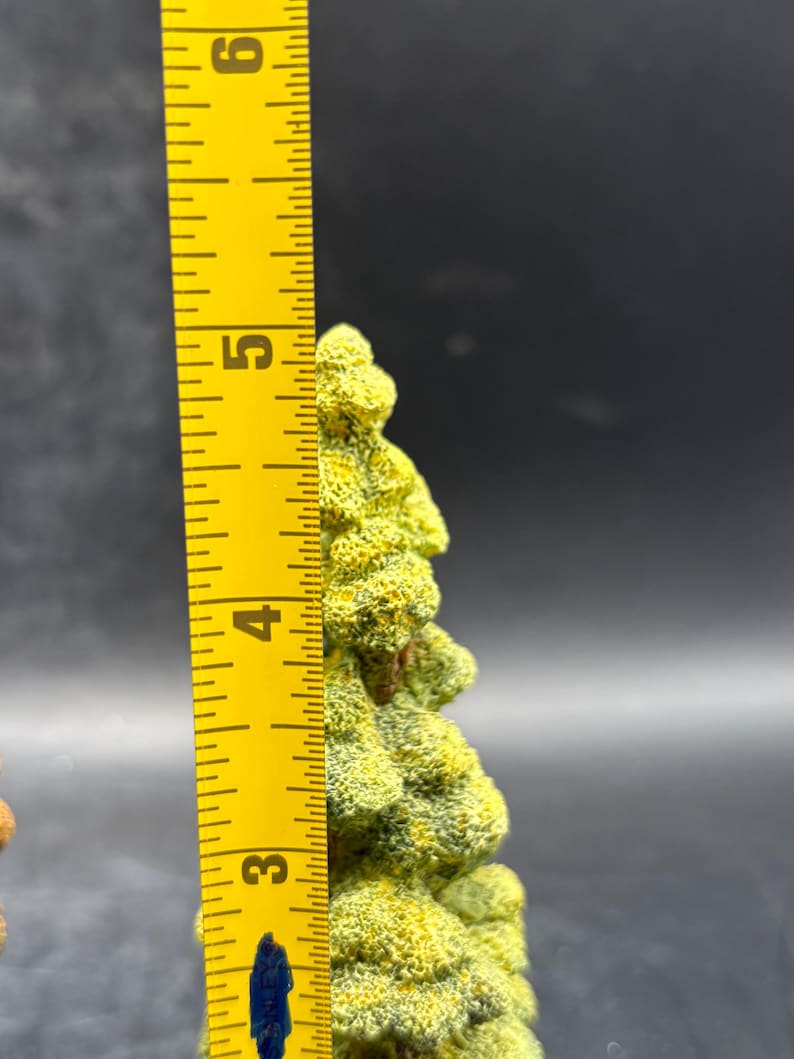 Department 56 Village Autumn Trees Set of 3, Dept 56 Village ...