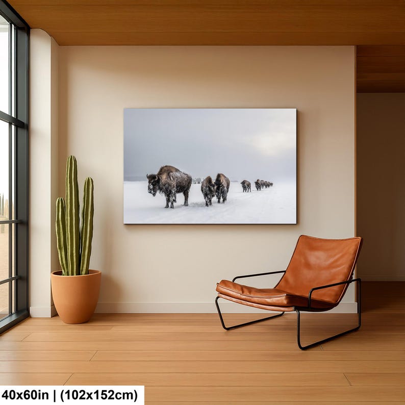 Buffalo Wall Art Print: Winter Wildlife Photography (canvas or Metal ...