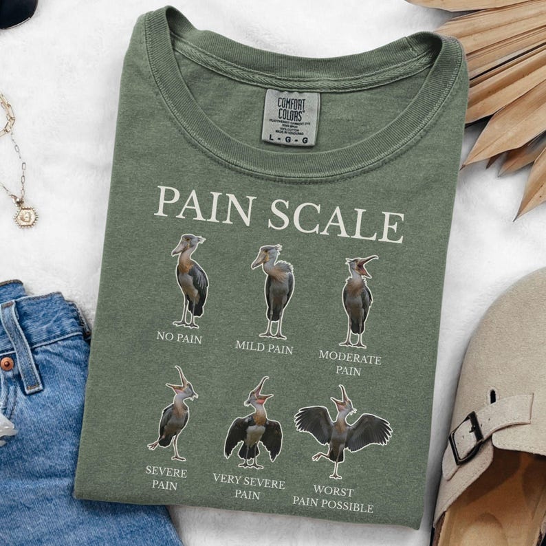 Pain Scale Nurse Shirt, Shoebill Assessment Chart, Comfort Colors ...