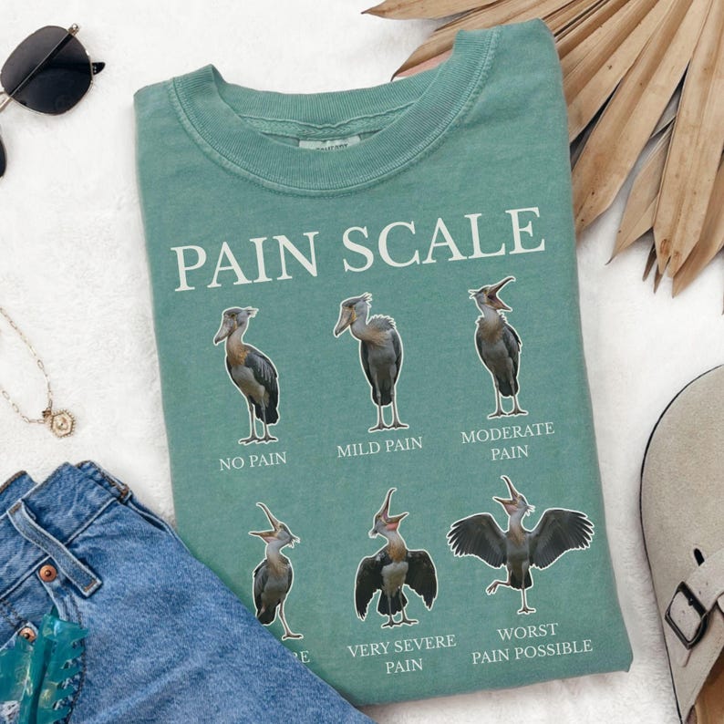 Pain Scale Nurse Shirt, Shoebill Assessment Chart, Comfort Colors ...