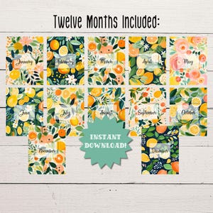 Printable Cover and Dividers for Homeschool Planner, Citrus Themed ...