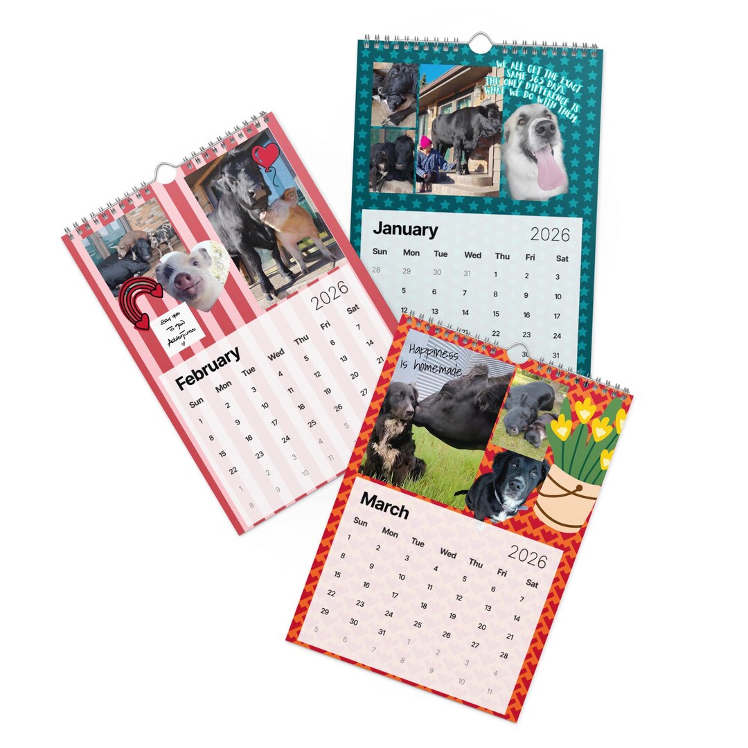 Funny Farm Wall Calendar (2026) - Etsy