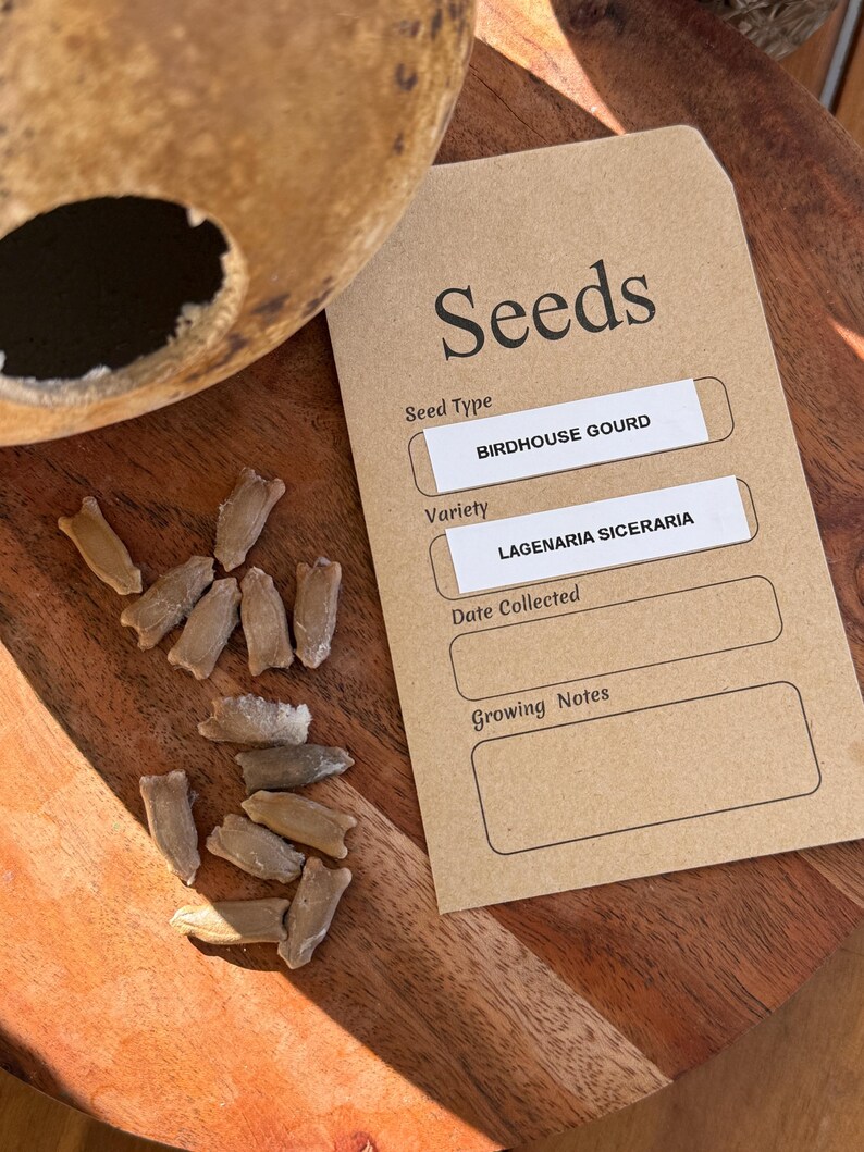 Birdhouse Gourd Seeds | Grow Natural Bird Houses | Heirloom NC Garden ...