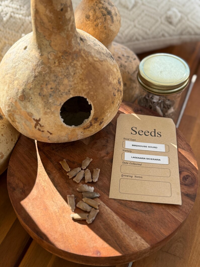 Birdhouse Gourd Seeds | Grow Natural Bird Houses | Heirloom NC Garden ...
