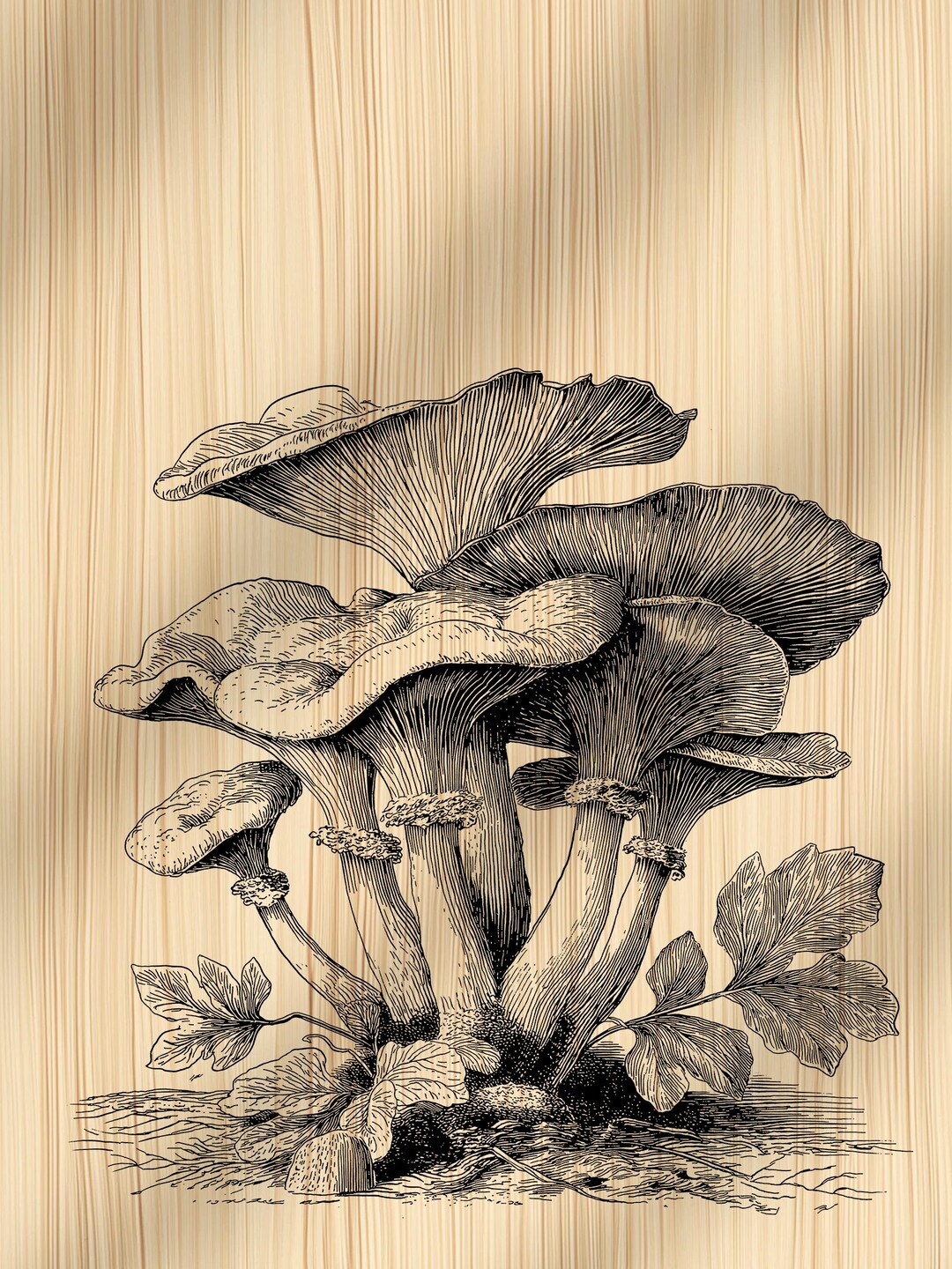 Vintage Mushroom Laser Engraving File, Botanical Fungi PNG for Wood ...